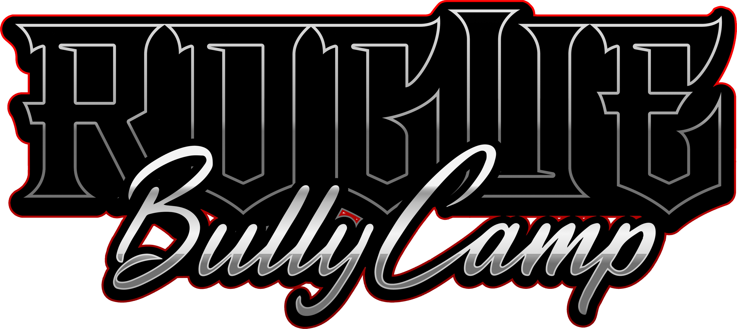 Rogue Bully Camp | Rogue Bully Camp - American Bully Breeder